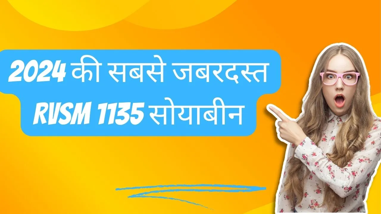 2024 की सबसे जबरदस्त RVSM 1135 सोयाबीन की पुरी जानकारी। - देश की शान- किसान